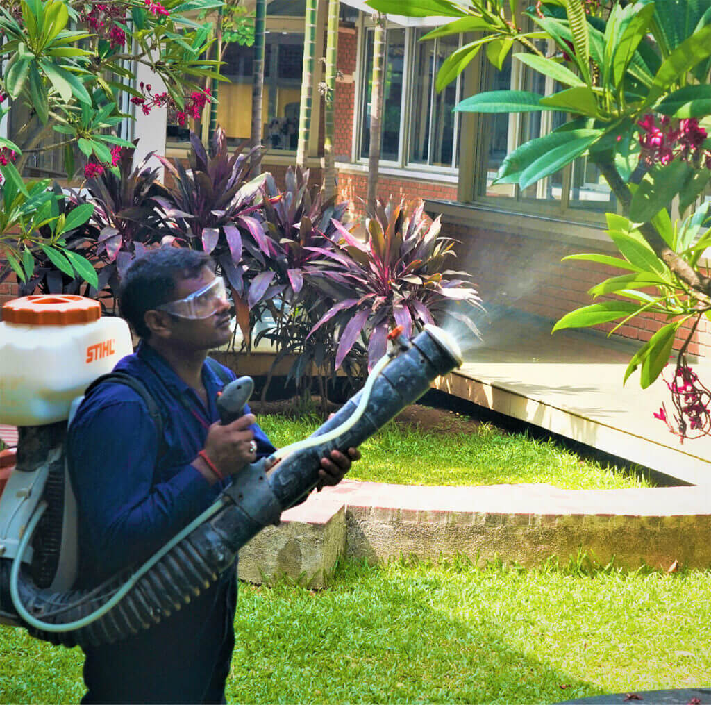 Professional Gardening Services in Mumbai | Bhoomi Service